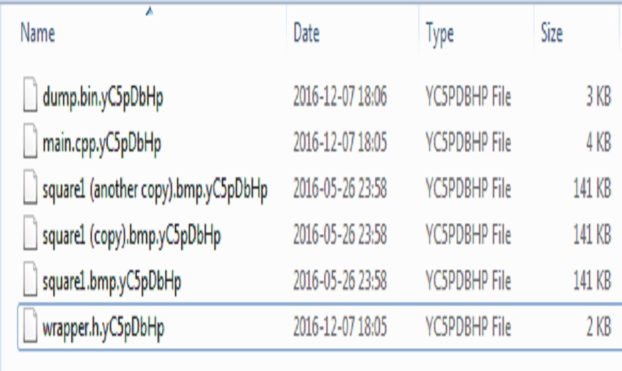 USA Computer Services | GoldenEye Ransomware LP
